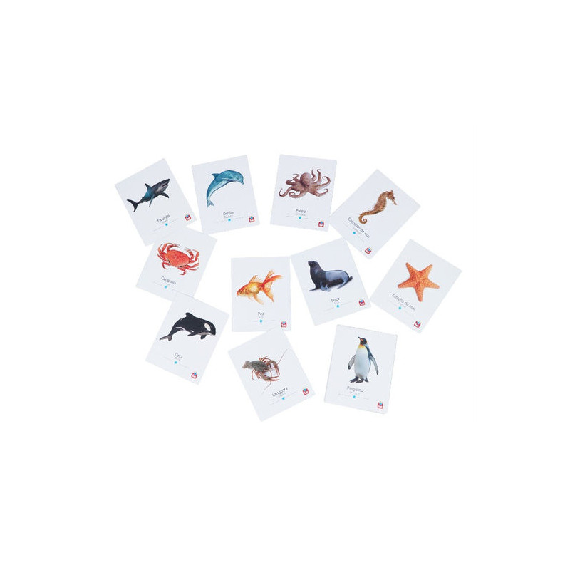 Flashcards Animales del Agua