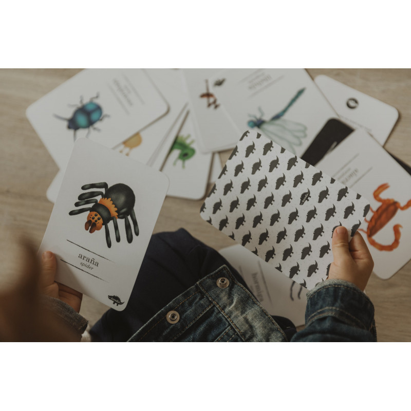 Flash Cards Bichos