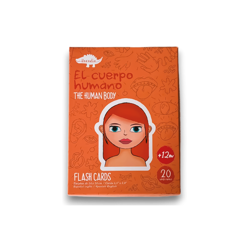 Flash Cards Partes del cuerpo